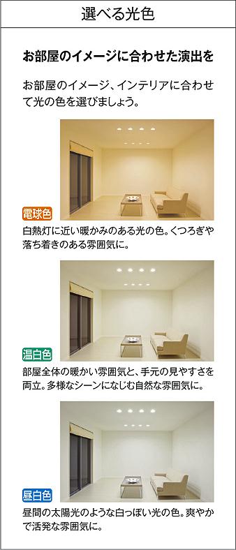 DAIKO 大光電機 ダウンライト(軒下兼用) DDL-5430YW | 商品紹介 | 照明器具の通信販売・インテリア照明の通販【ライトスタイル】